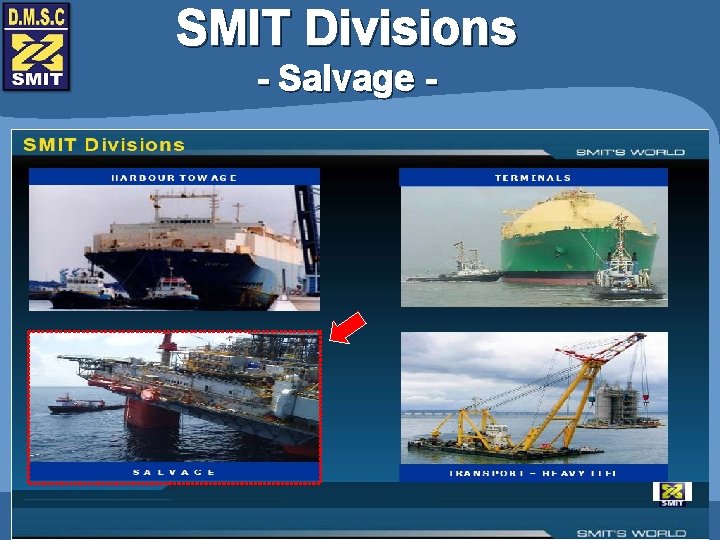 Terminals Damietta For Maritime Services Co DMSC Share