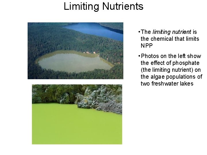 Nutrient Pollution and Eutrophication Outline of Topics Eutrophication