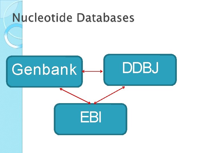 DATABASES IN BIOINFORMATICS Database are convenient system to
