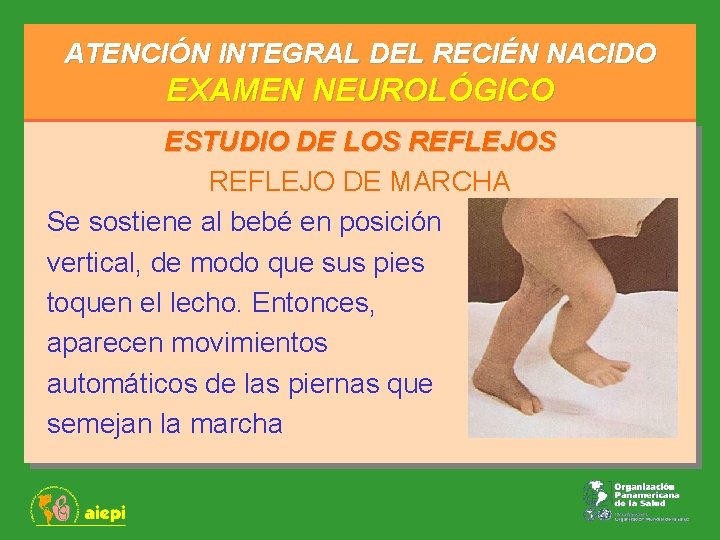 ATENCIN INTEGRAL DEL RECIN NACIDO EXAMEN NEUROLGICO DEL