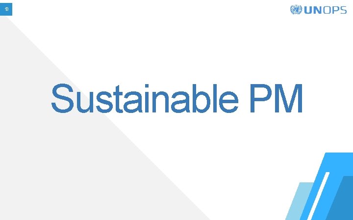 The UN Office for Project Services and Its