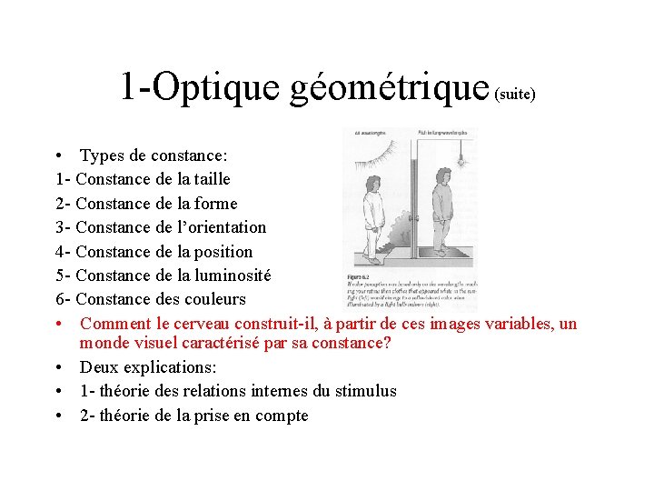Psychologie de la perception La constance perceptive 1