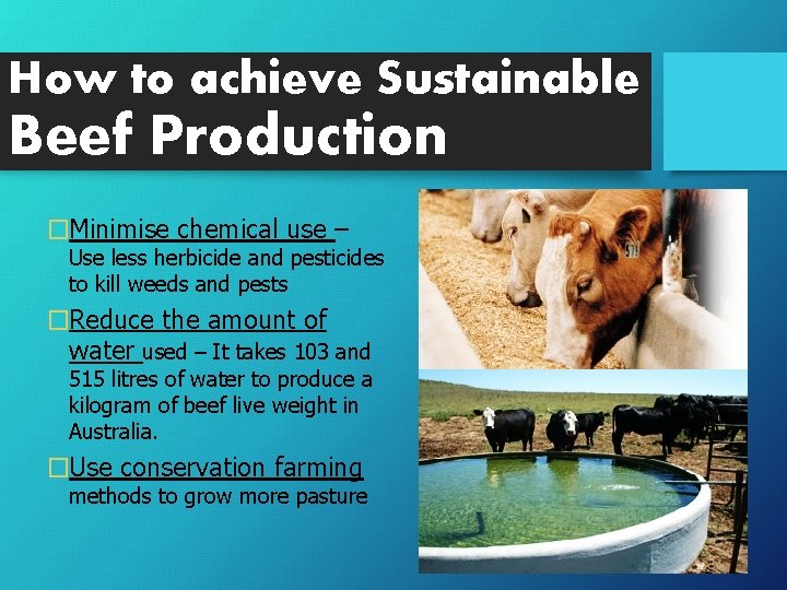 Sustainable Beef Production To Adapt To Climate Changes