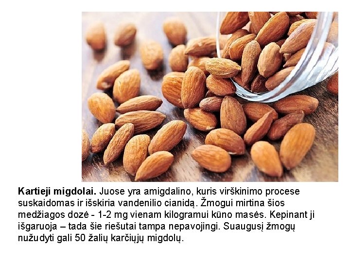 NUODINGI AUGALAI Adeniumai ydi labai graiais raudonais iedeliais