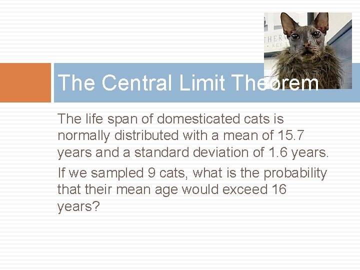 REVIEW APPLICATIONS OF THE NORMAL DISTRIBUTION The Standard