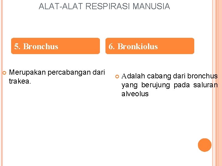 SISTEM PERNAPASAN PADA MANUSIA Sumber Mader 2004 PENGERTIAN