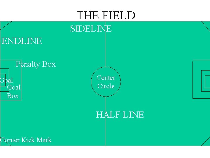 SOCCER THE FIELD SIDELINE ENDLINE Penalty Box Goal
