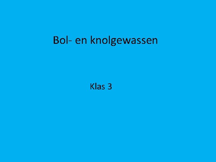 Bol en knolgewassen Klas 3 Anemone coronaria cultivars