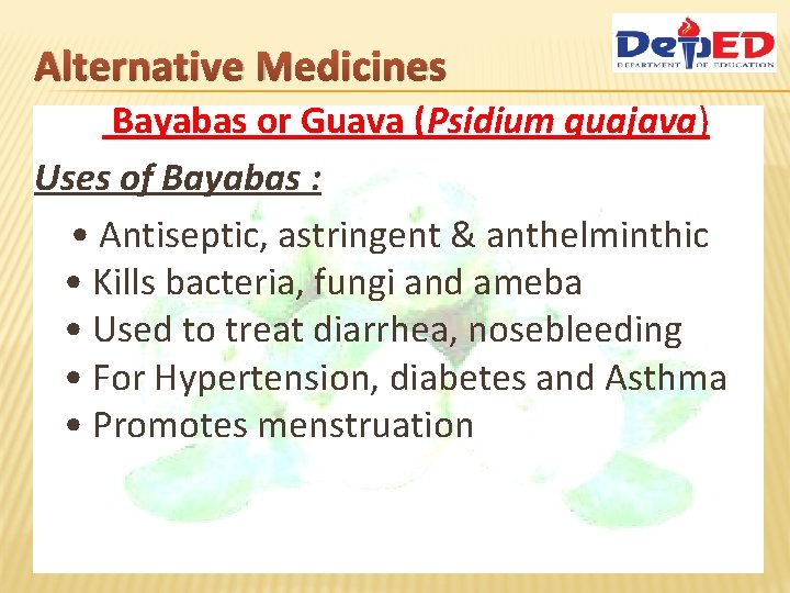 10 HERBAL MEDICINES APPROVED BY DOH AND THEIR