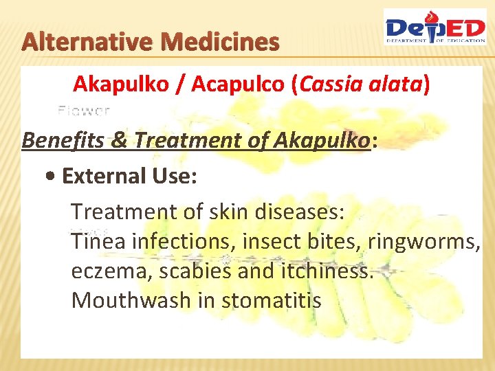 10 HERBAL MEDICINES APPROVED BY DOH AND THEIR