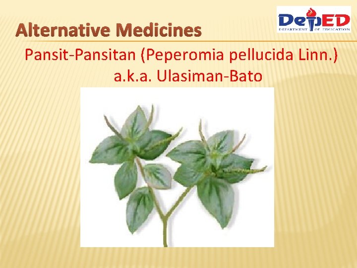 10 HERBAL MEDICINES APPROVED BY DOH AND THEIR
