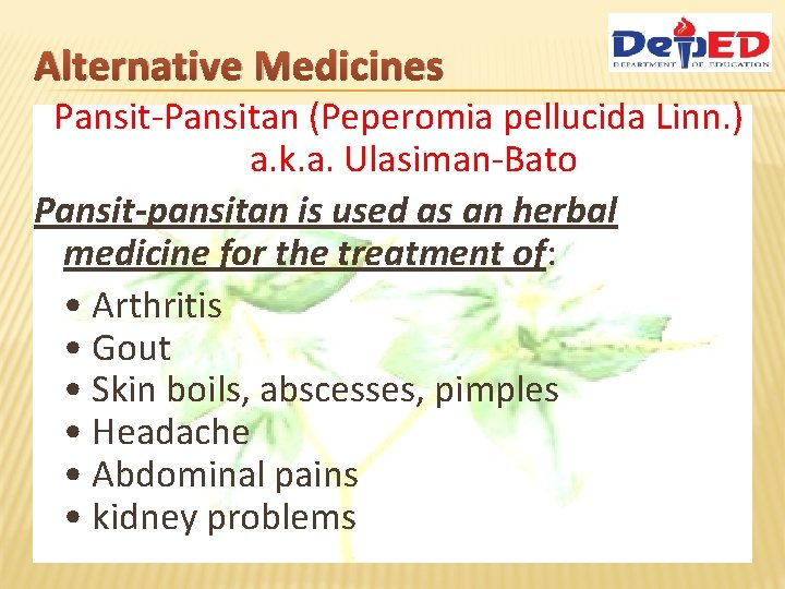 10 HERBAL MEDICINES APPROVED BY DOH AND THEIR