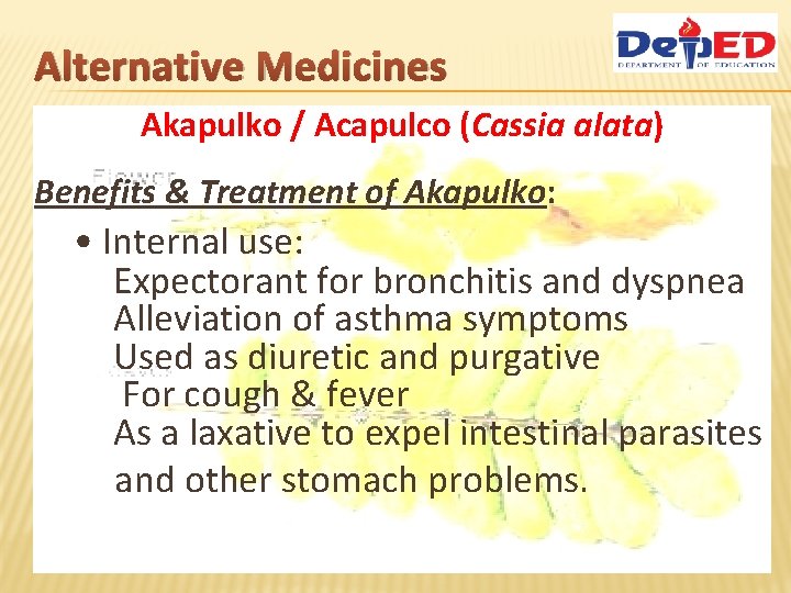 10 HERBAL MEDICINES APPROVED BY DOH AND THEIR