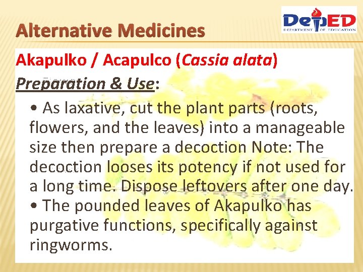 10 HERBAL MEDICINES APPROVED BY DOH AND THEIR