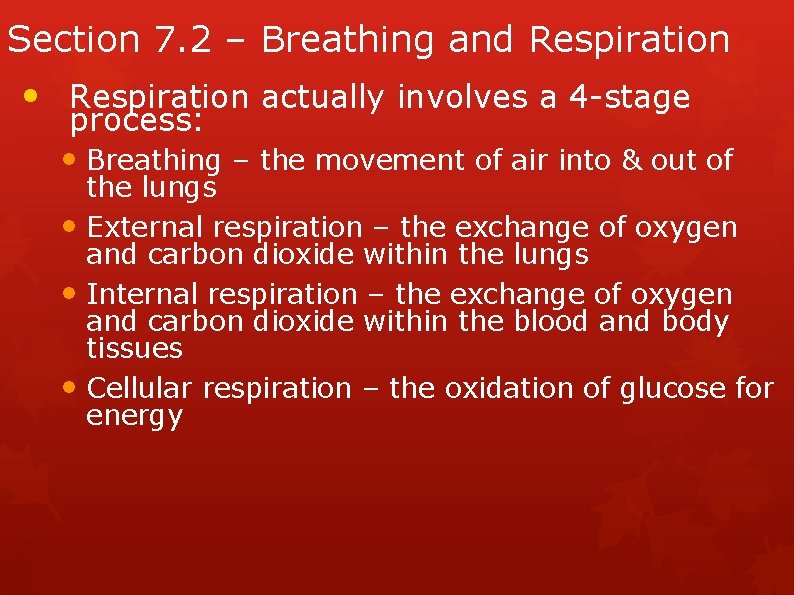 Section 7 2 Breathing and Respiration Section 7