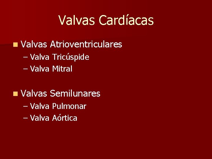 Anatomia das Valvas Cardacas Thales C Baggio R