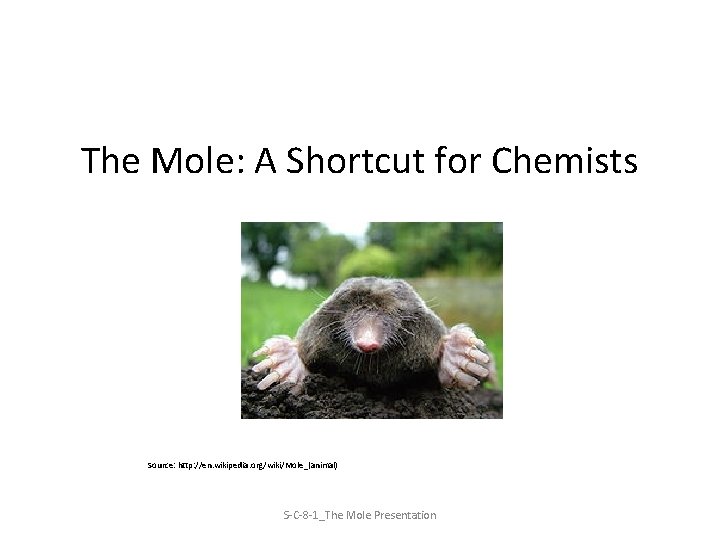 The Mole A Shortcut for Chemists Source http