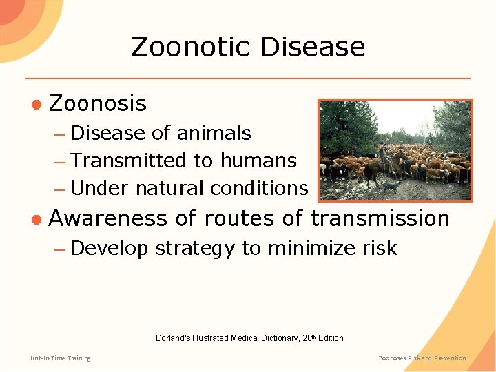 Health and Safety Zoonoses Risks and Prevention Zoonotic