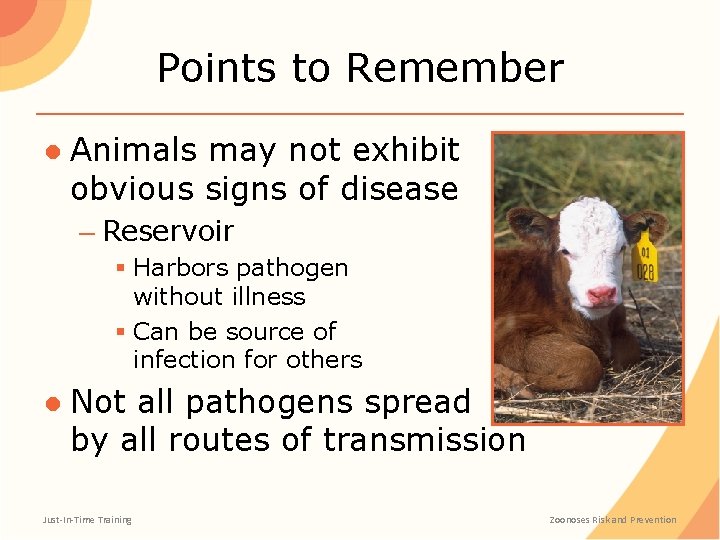 Health and Safety Zoonoses Risks and Prevention Zoonotic