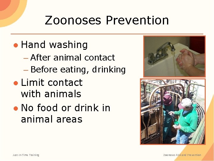 Health and Safety Zoonoses Risks and Prevention Zoonotic