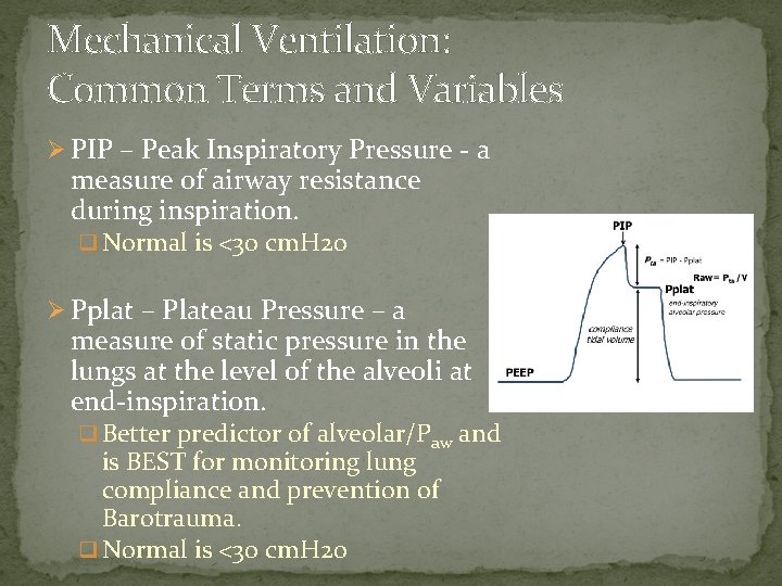 Mechanical Ventilation Presented by Jacob Riegelsberger BS LP