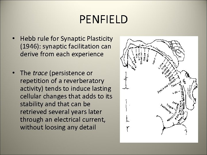 October 2008 Neuroscience Journal Club Experiencedependent plasticity of