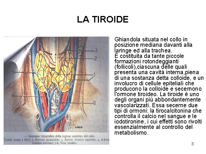 Assistenza pre e postoperatoria al paziente sottoposto ad