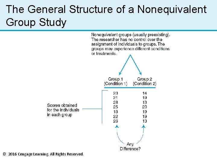 Research Methods for the Behavioral Sciences 5 e