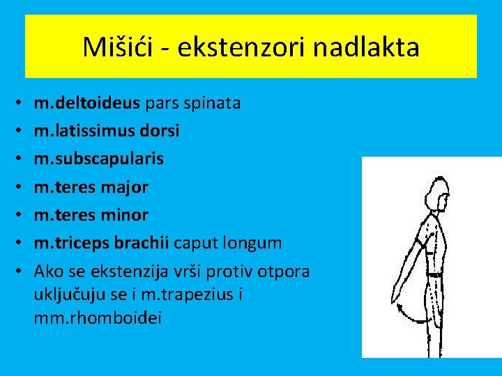 NASTAVNI PREDMETKINEZIOLOGIJA 2 VI PREDAVANJE Pokreti nadlaktice pokreti