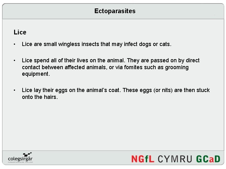 ECTOPARASITES Presentation on ECTOPARASITES Introduction What is an