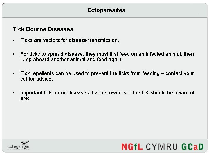 ECTOPARASITES Presentation on ECTOPARASITES Introduction What is an