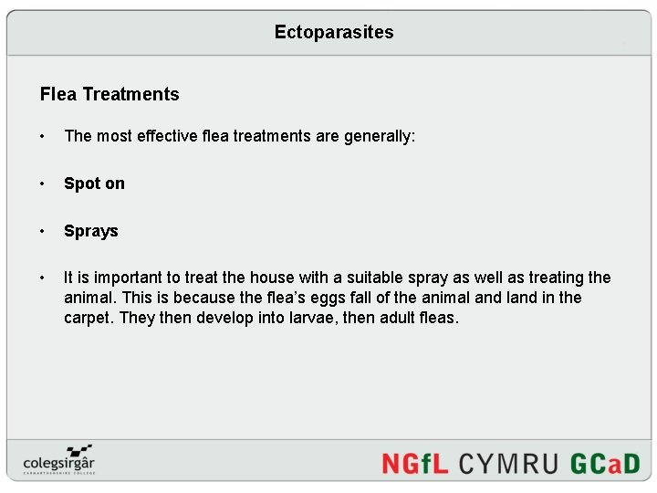 ECTOPARASITES Presentation on ECTOPARASITES Introduction What is an