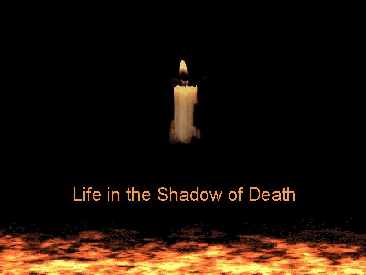 Life in the Shadow of Death EXIBITION organized