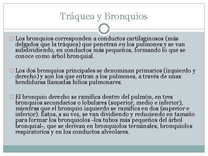 Sistema Respiratorio ANATOMA GABRIEL MANSILLA L Generalidades Es
