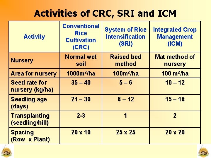 System of Rice Intensification SRI and Integrated Crop