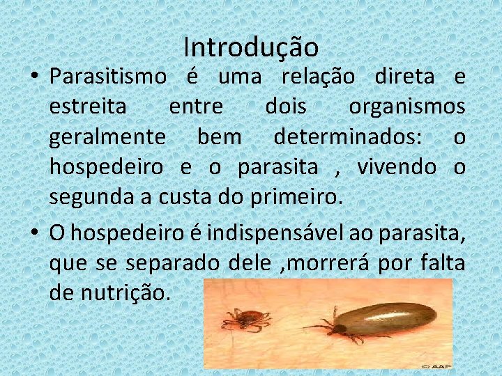 Parasitologia Prof Leidiane Campos Barcelos Introduo Parasitismo uma