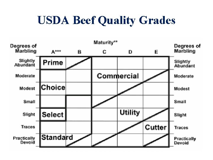 EVALUATION GRADING AND FABRICATION OF DRESSED CARCASSES INCLUDING