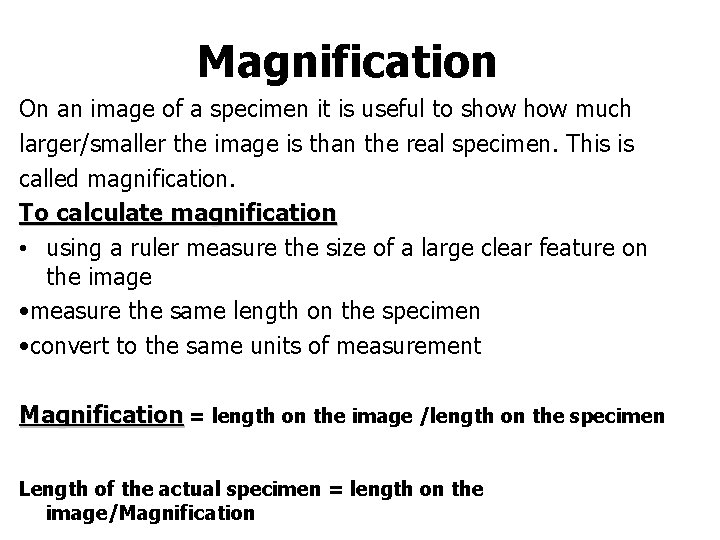 Magnification On an image of a specimen it
