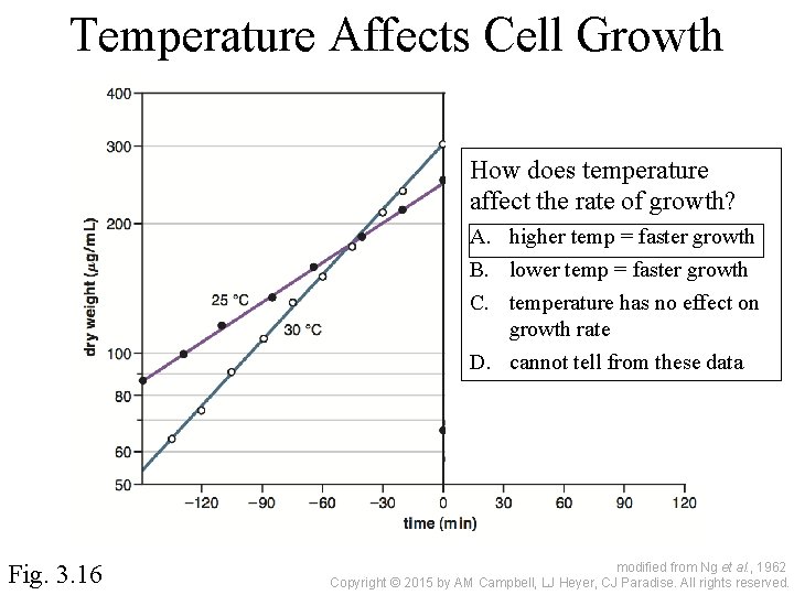 How Do Prokaryotes Replicate Are all bacterial cells