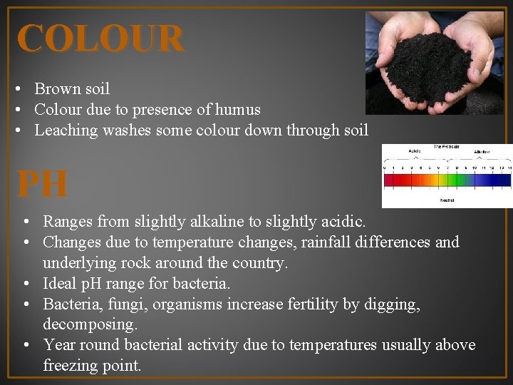A detailed study of Brown Earths Geoecology section