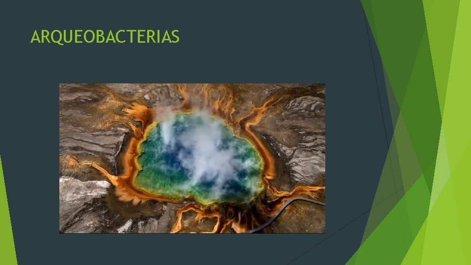 BIOLOGIA II CLASIFICACION DE LOS SERES VIVOS Q