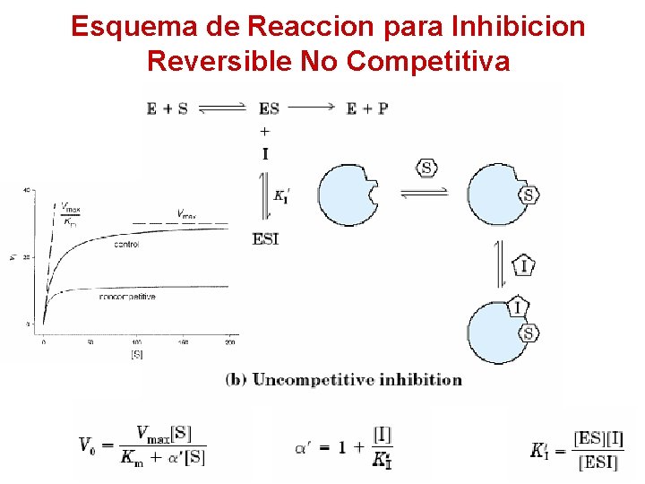 Enzimas catalizadores biolgicos Hay dos condiciones fundamentales para