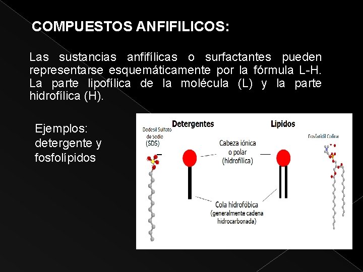 Biofisicoqumica Determinacin de la Concentracin Micelar Crtica CMC