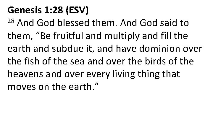 What is your purpose What is your work