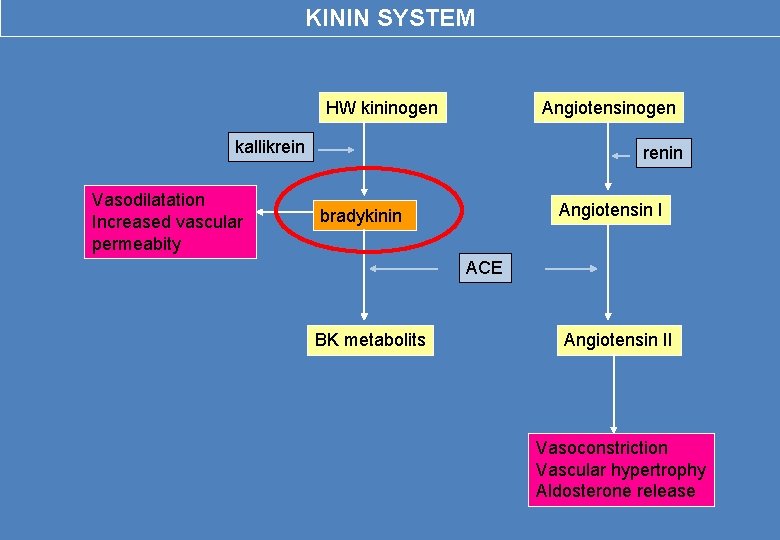 ANGIOEDEMA LARYNGEAL EDEMA DIAGNOSIS AND MANAGEMENT Henriette Farkas