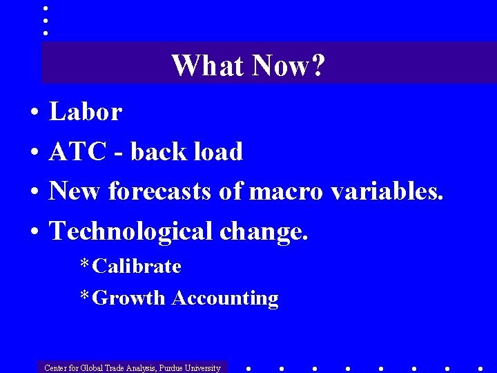 Overview of Dynamic GTAP Model Terrie L Walmsley