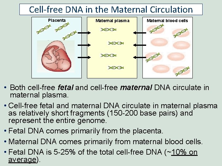 Prenatal Screening Using Free DNA in Maternal Blood