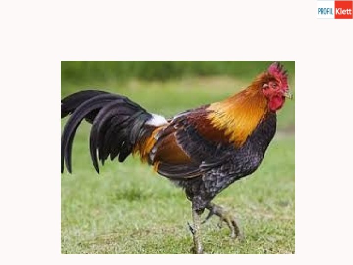 VRSTE BOJA SPEKTAR Nastavno podruje Crtanje slikanje Nastavna