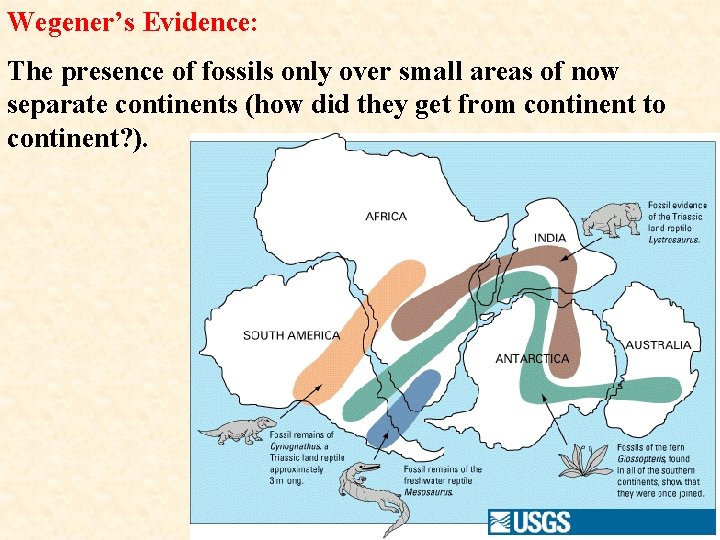 The History of Continental Drift 1 Plate Tectonics