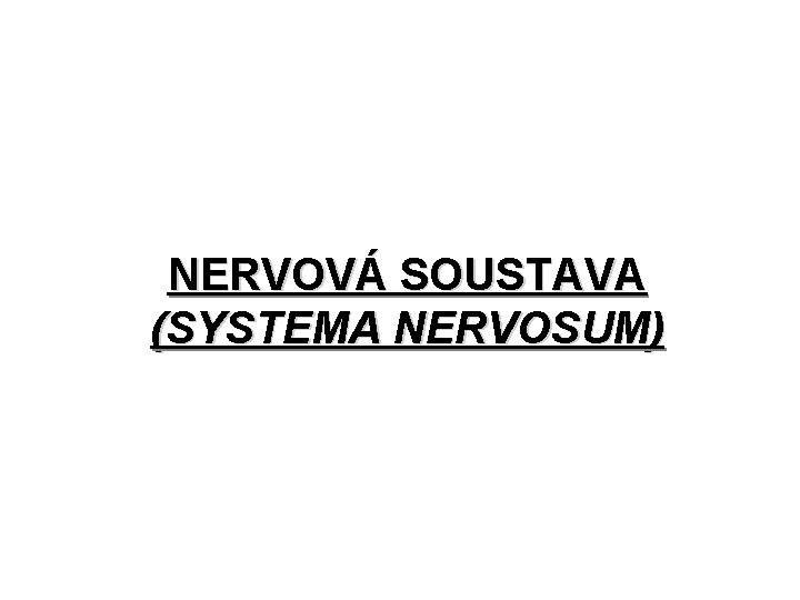 NERVOV SOUSTAVA SYSTEMA NERVOSUM FUNKCE NERVOV SOUSTAVY dc